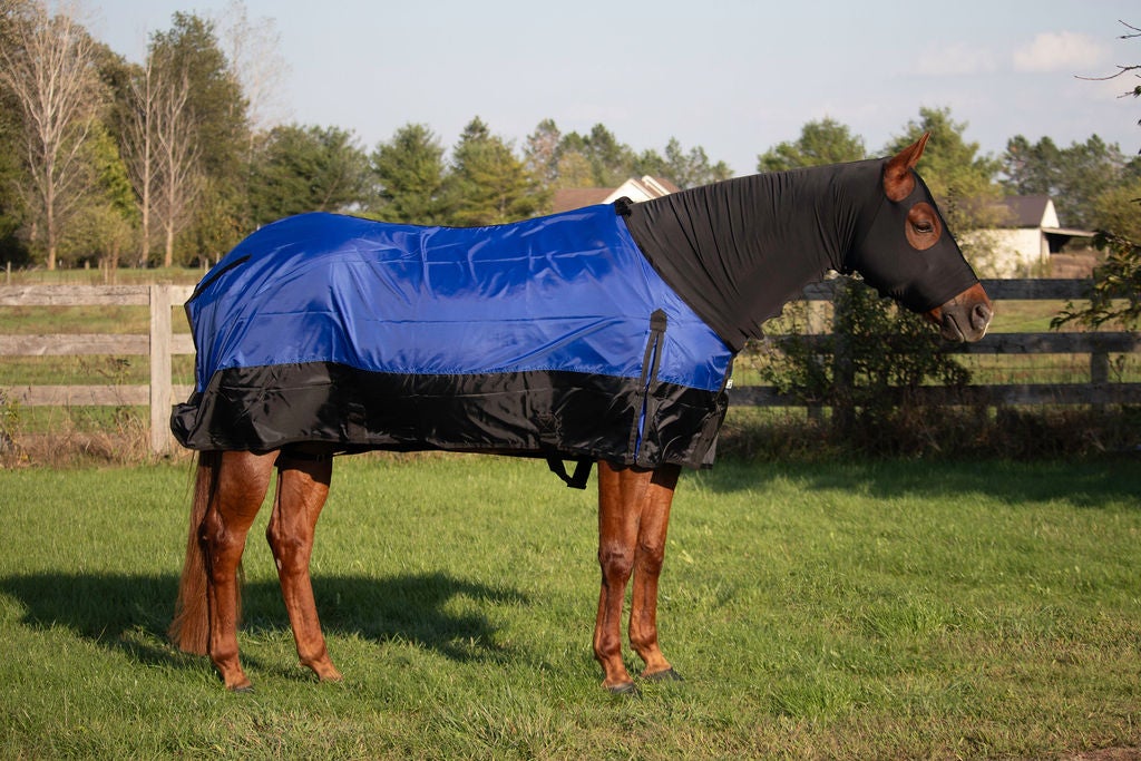 Tough1 420D Closed Front Stable Sheet | Double R Tack LLC