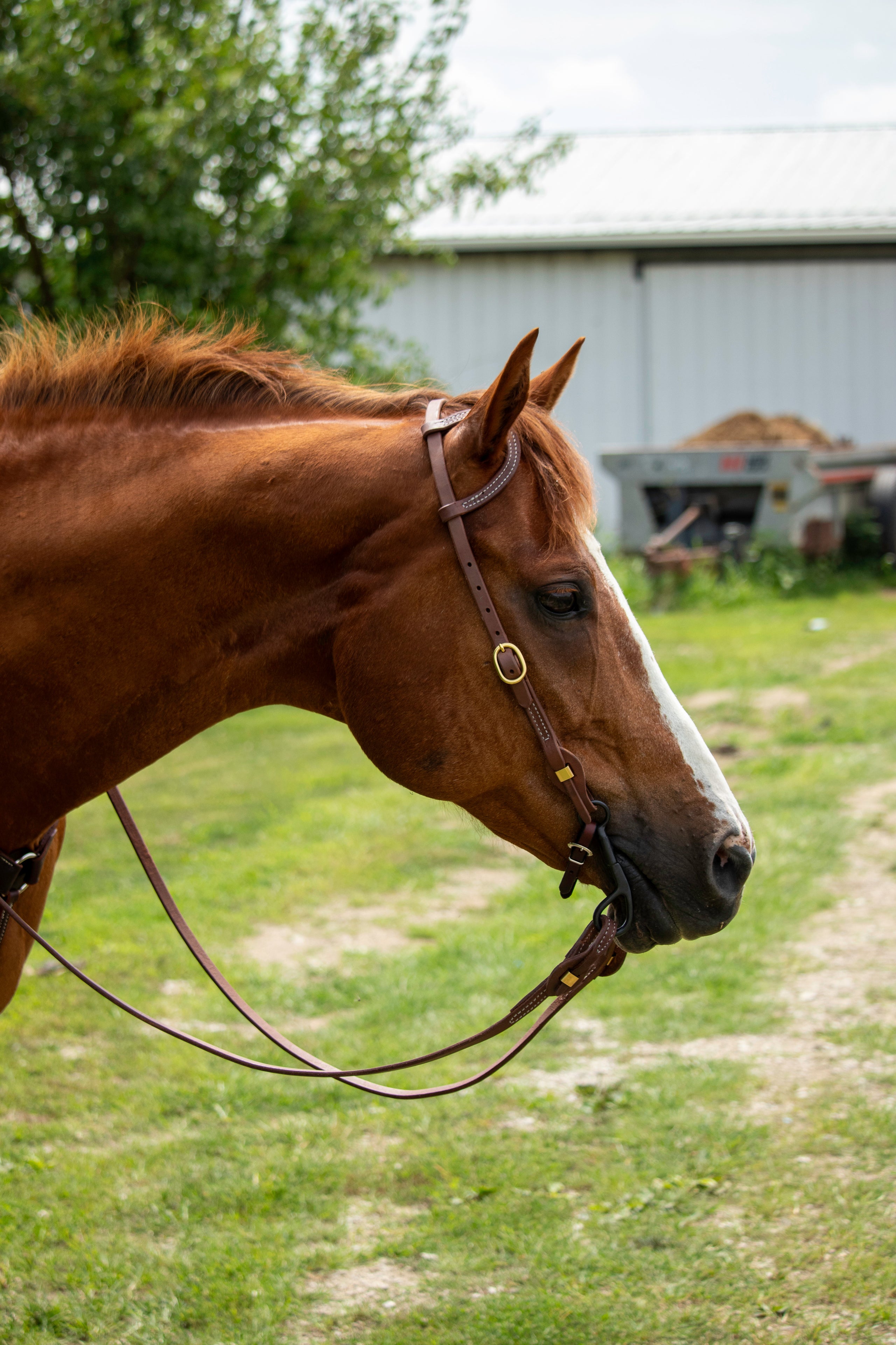 Quick Change One Ear Headstall | Double R Tack LLC