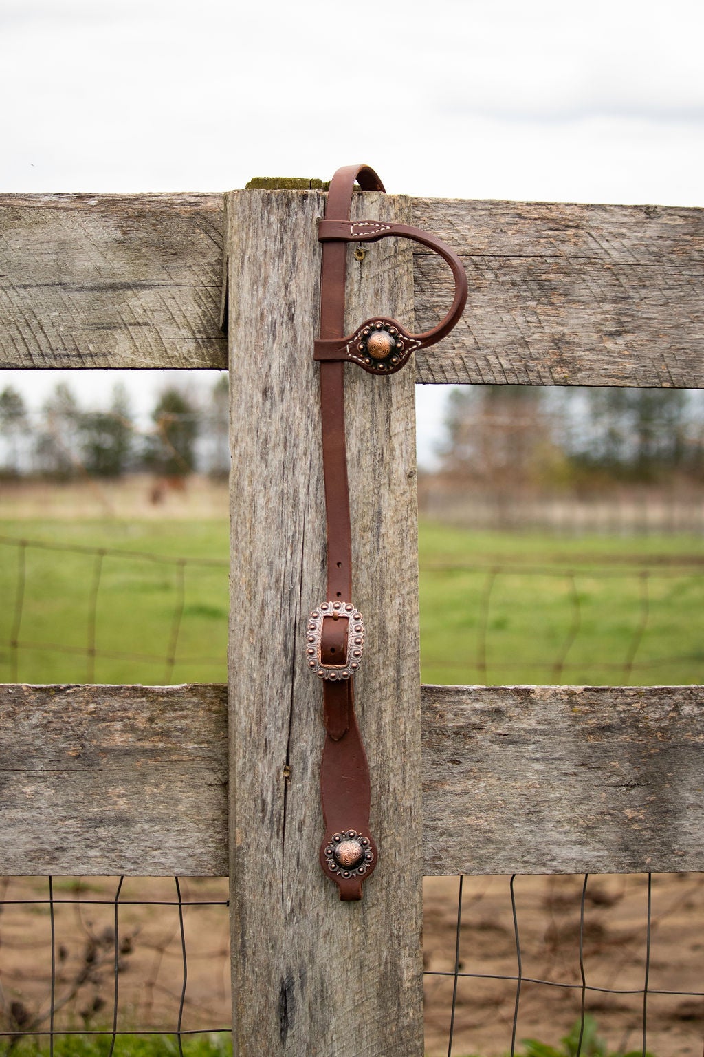 Copper Berry Concho One Ear Headstall | Double R Tack LLC
